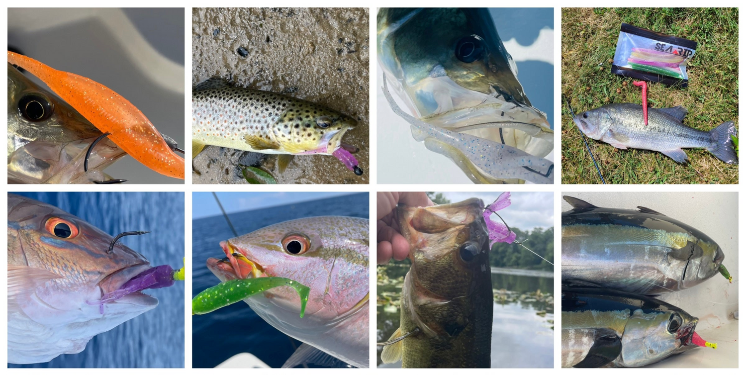 Welcome to SEARIP Custom Baits. Made in the USA.