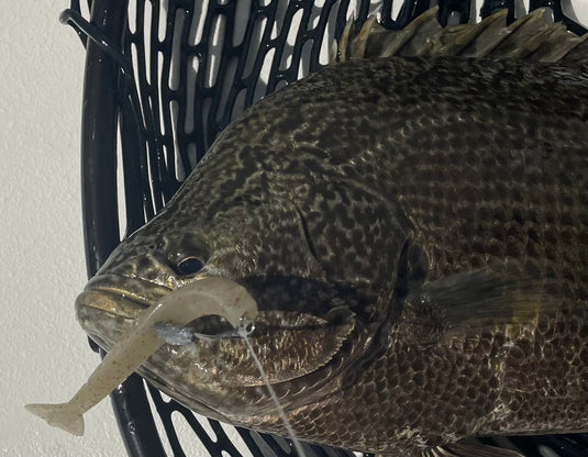 Welcome to SEARIP Custom Baits. Made in the USA.