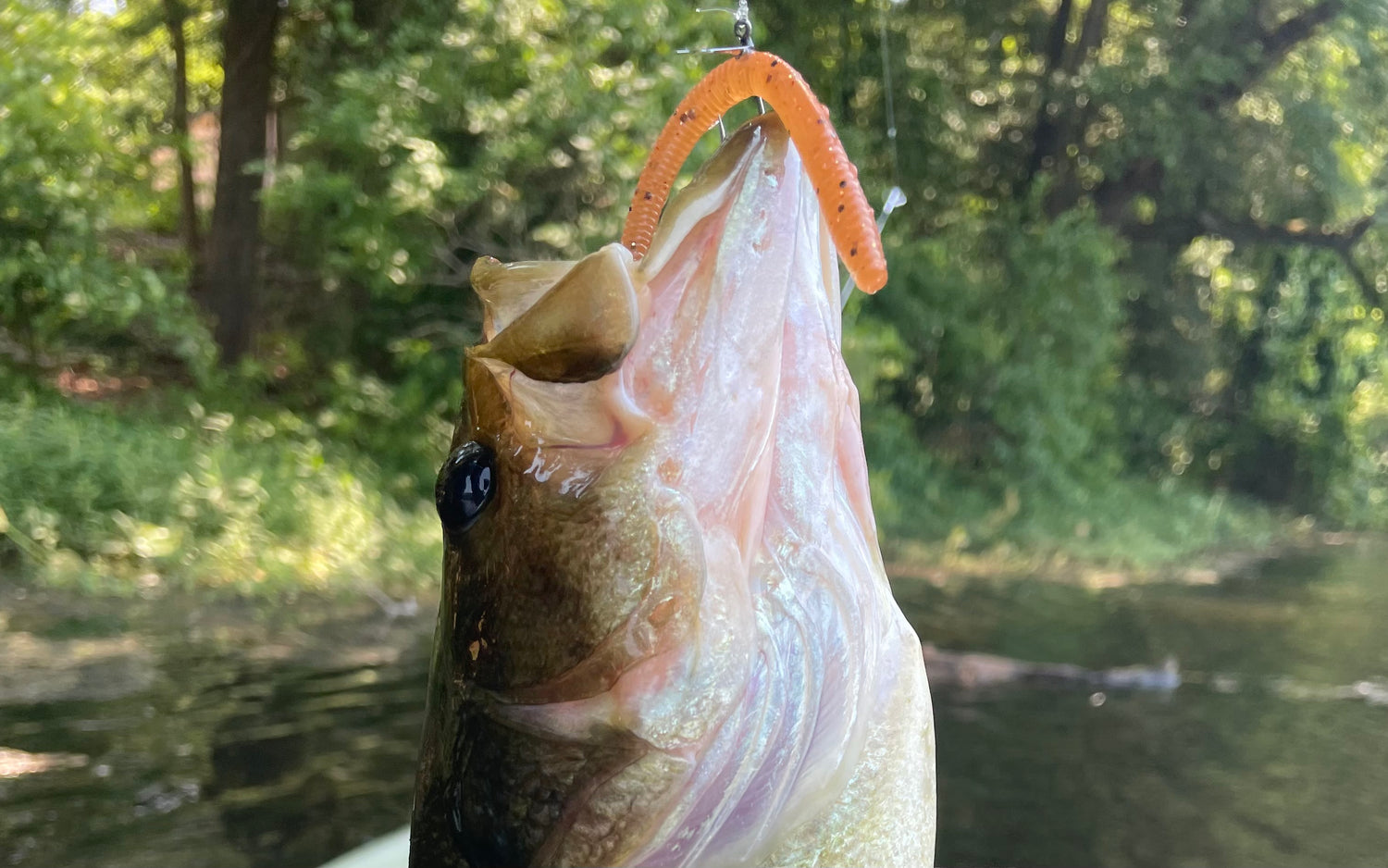 Welcome to SEARIP Custom Baits. Made in the USA.