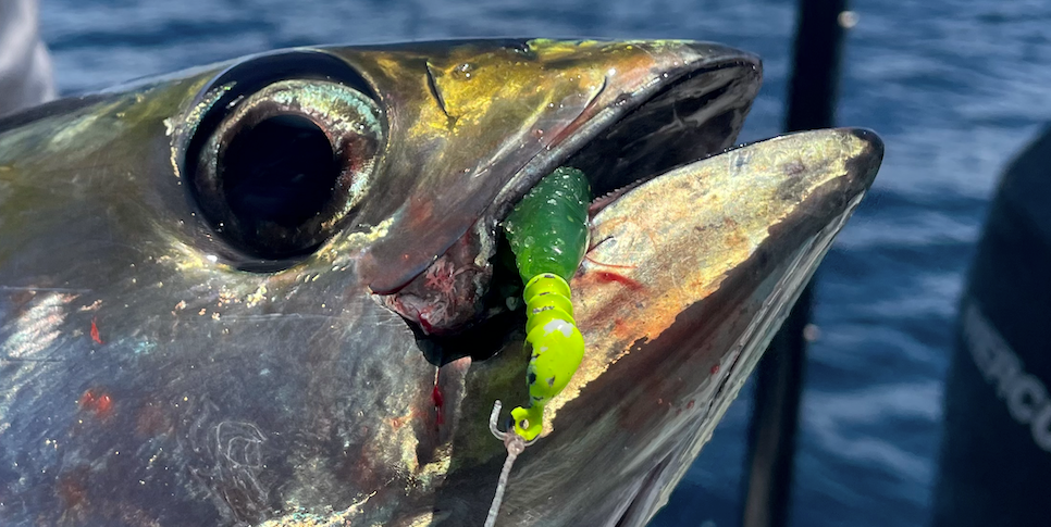 Welcome to SEARIP Custom Baits. Made in the USA.